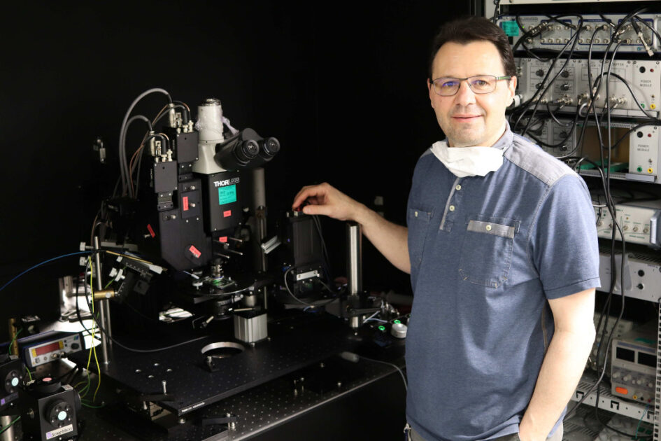 Professor Walter Marcotti - RNID