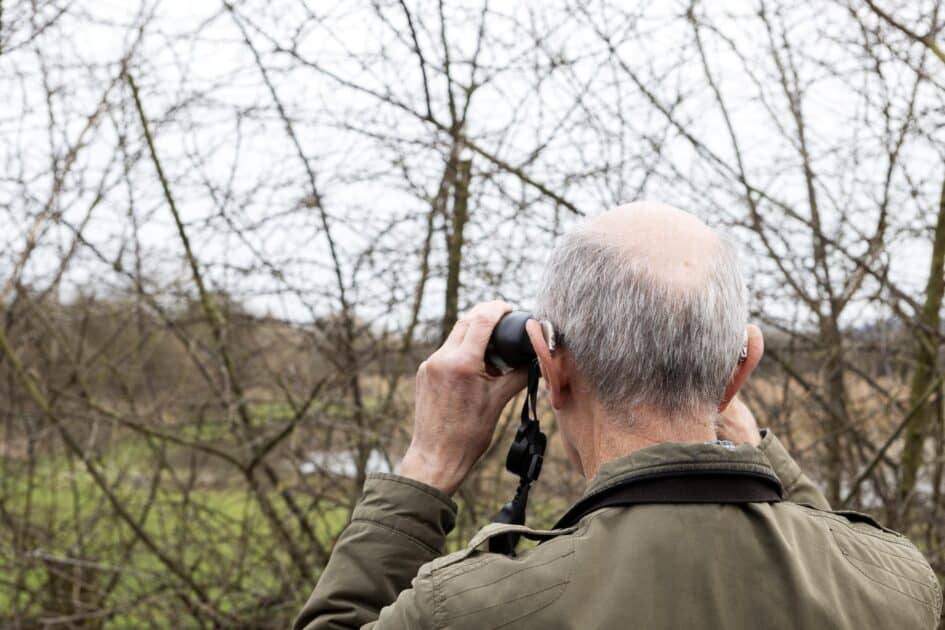 5 birds to listen out for in March, and what to do if you can’t hear ...